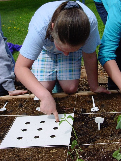 Planting template | Wood County Master Gardeners